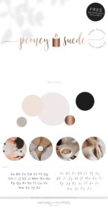 Peoney Suede Logo Design • Macarons and Mimosas