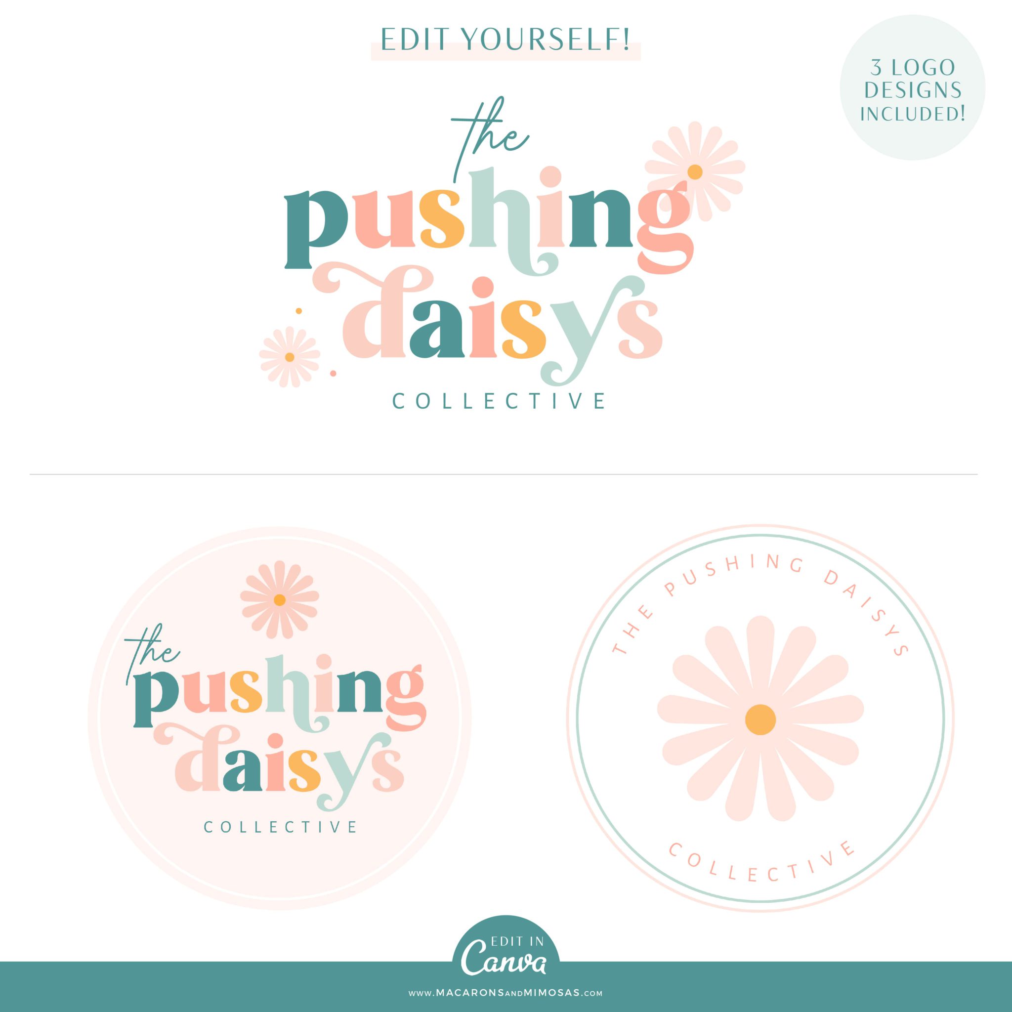 Daisy Logo Design Package • Macarons and Mimosas