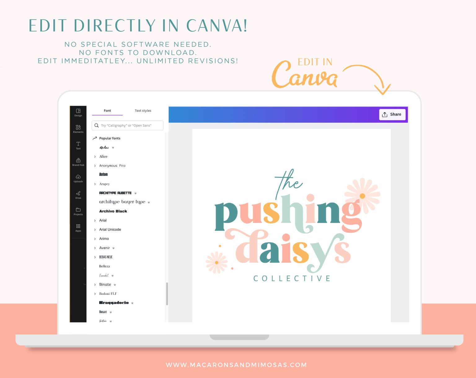 Daisy Logo Design Package • Macarons and Mimosas